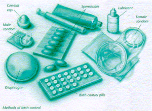 Methods To Control Population Growth | Science Vision